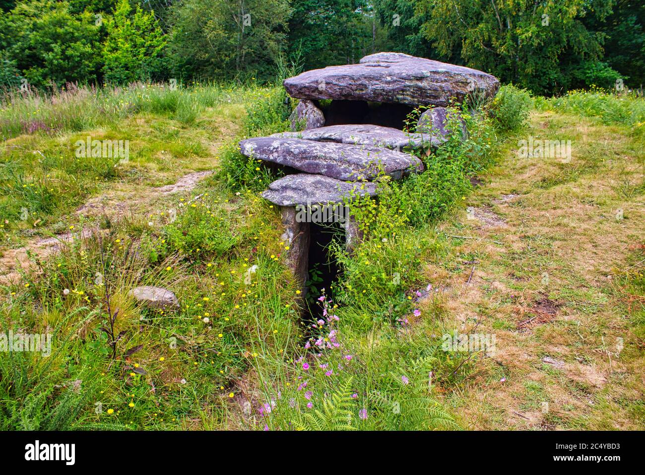 Prehistoric funerary monument in Marin, Galicia, northern spain. It's ...