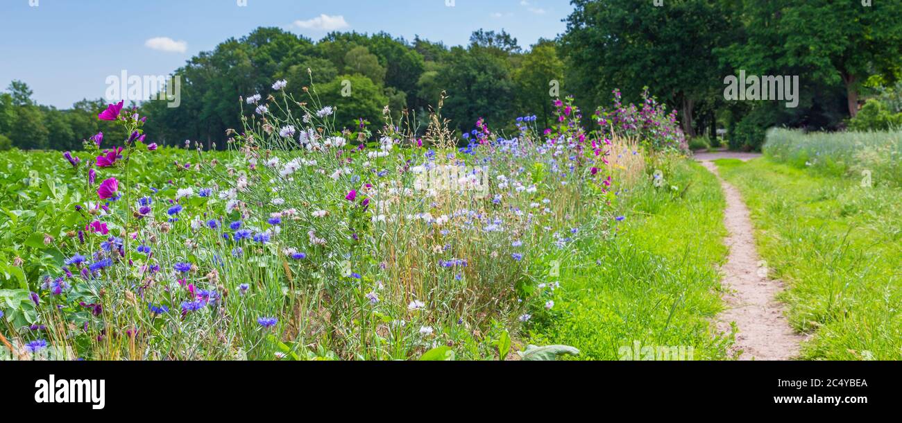 Nature-inclusive or circular and sustainable agriculture with wild ...