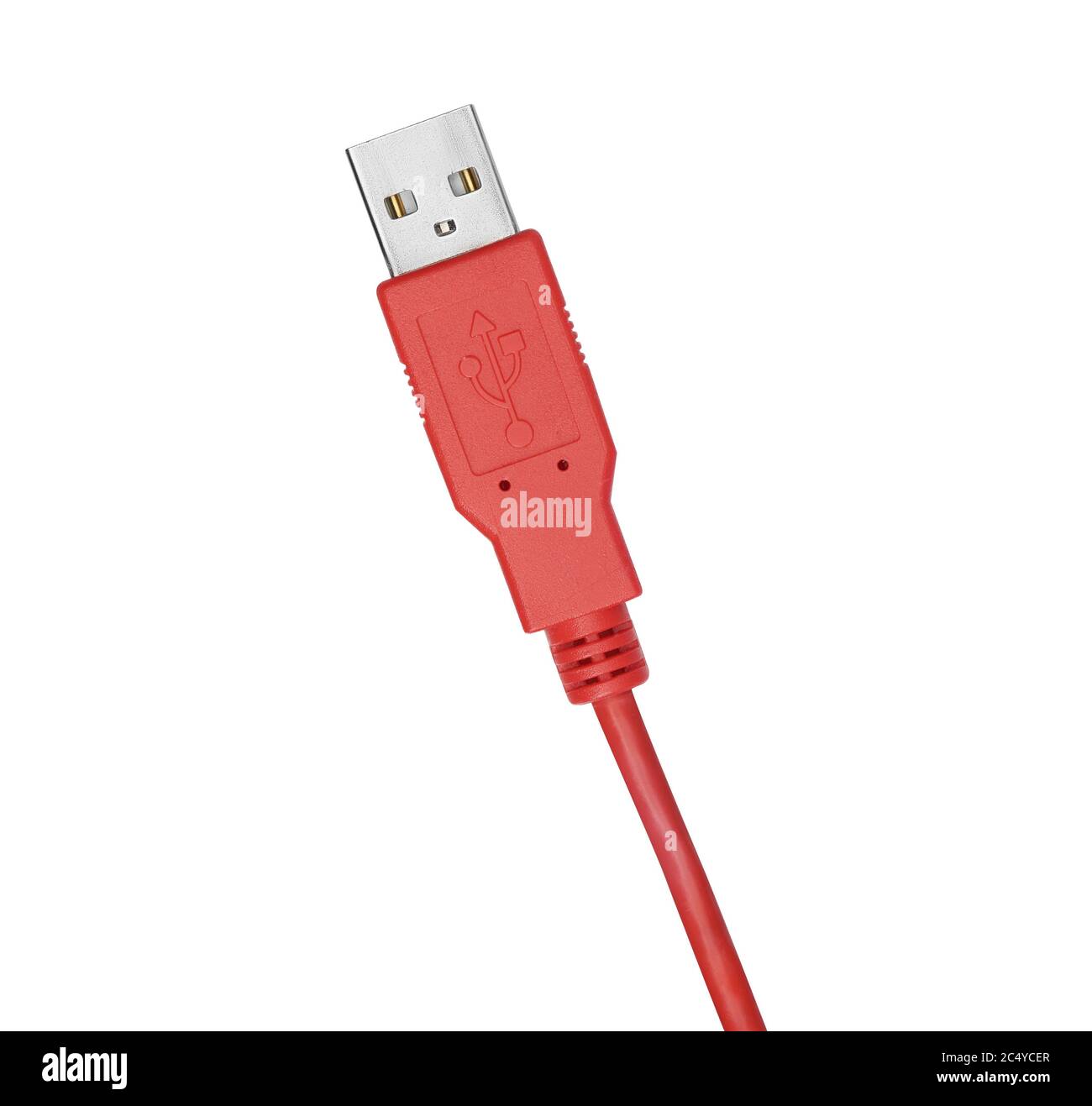USB Type A Cable Plug isolated on White Background with clipping path ...