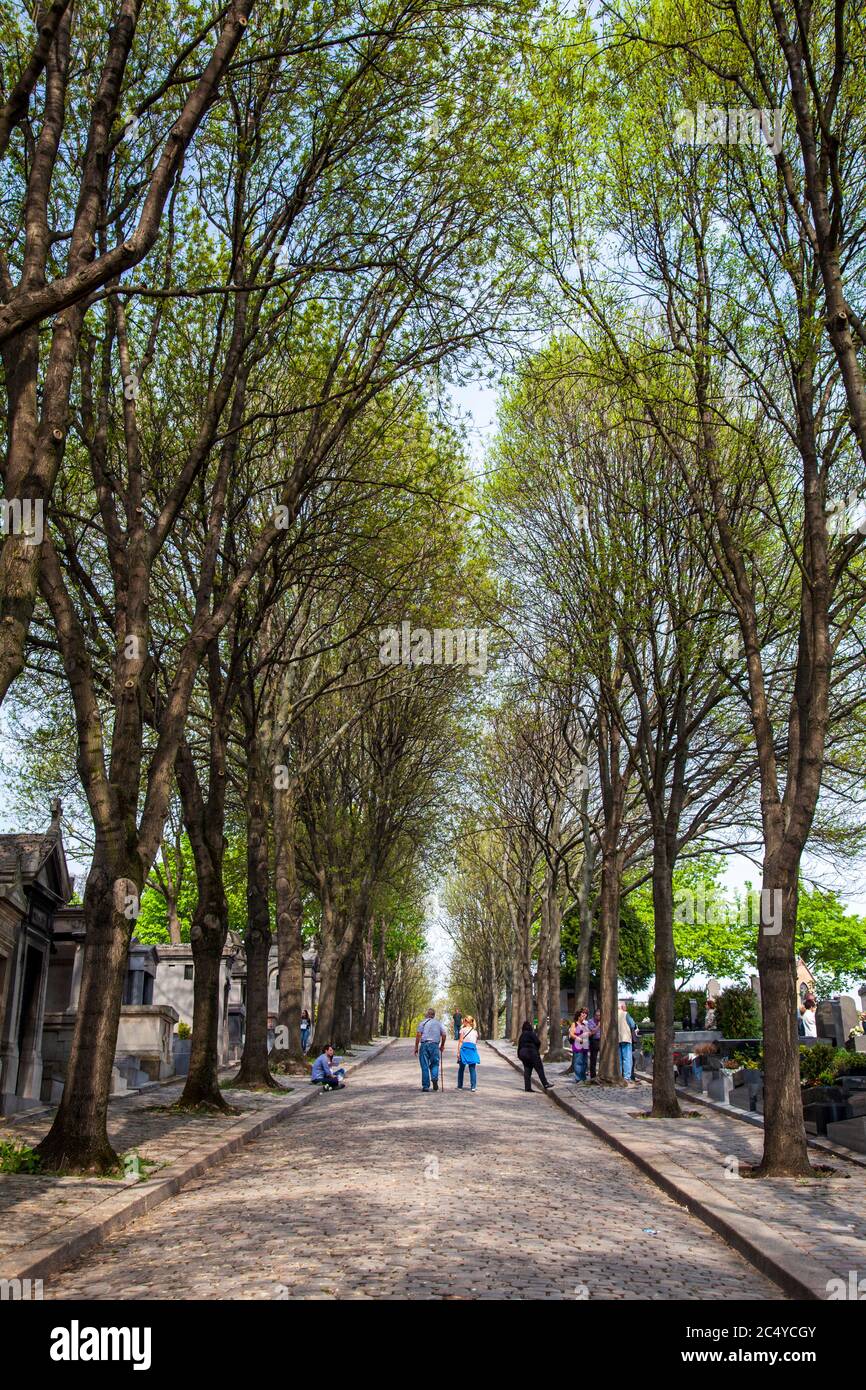 A tree lined avenue at the Père Lachaise Cemetery, Paris Stock Photo ...