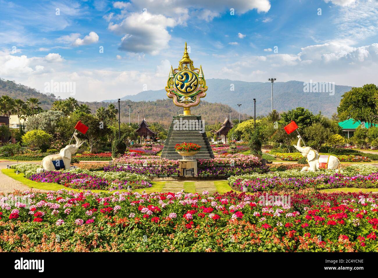 Royal park ratchaphruek hi-res stock photography and images - Alamy
