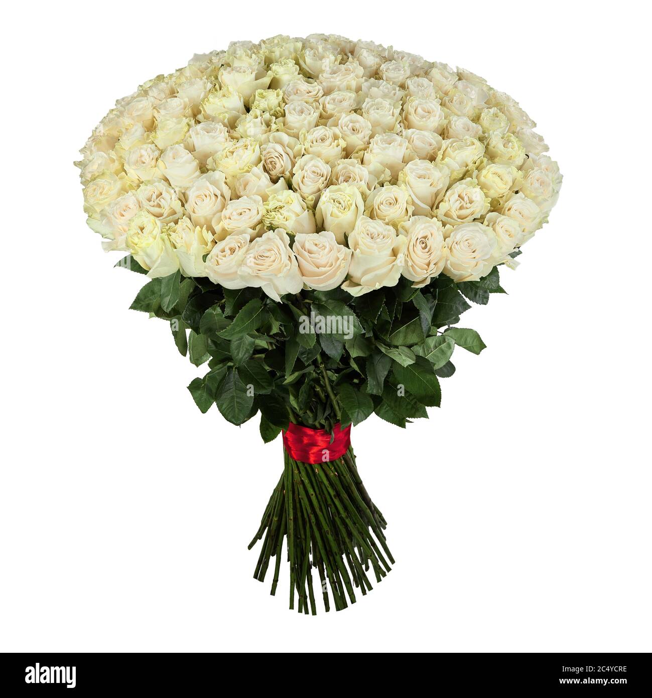 White roses. Isolated large bouquet of 101 White rose Stock Photo - Alamy