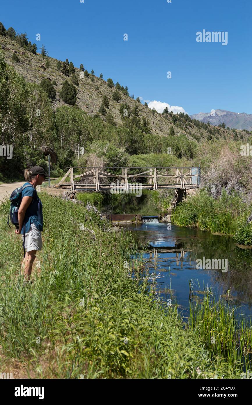A woman stands starring at a crystal clear stream below an Old rickety ...