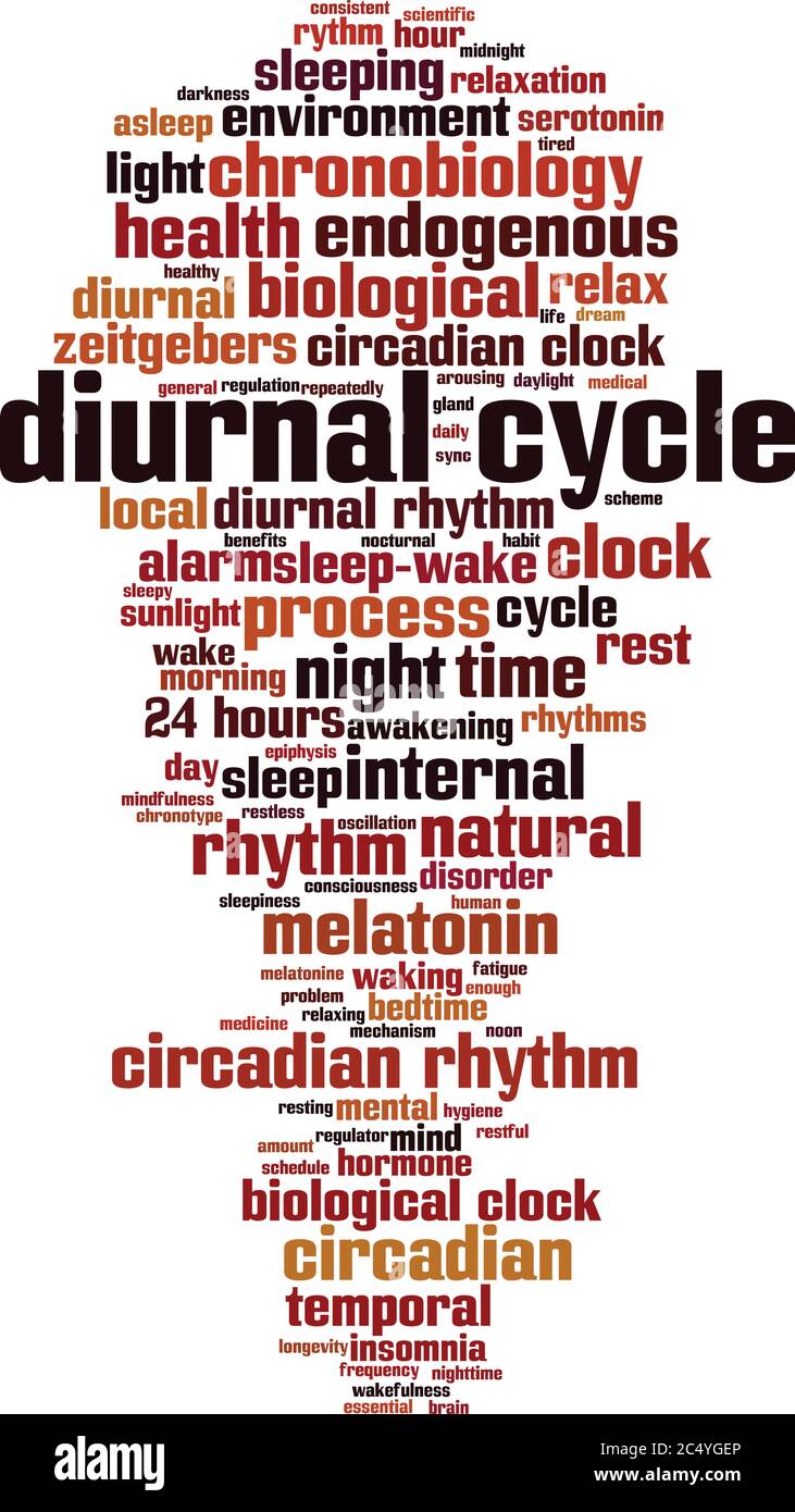 Diurnal cycle word cloud concept. Collage made of words about diurnal ...