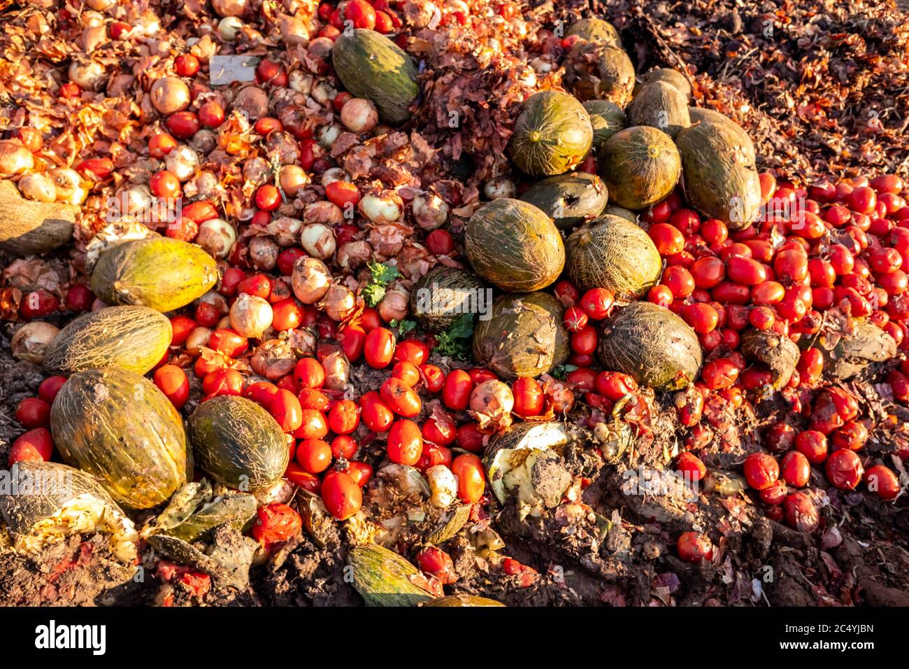 Vegetables thrown into a landfill, rotting outdoors Stock Photo - Alamy