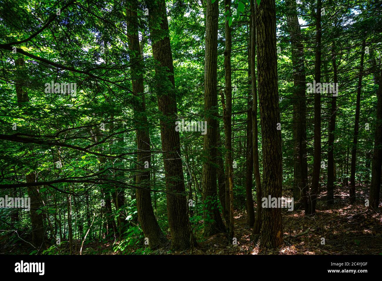 Platte clove hi-res stock photography and images - Alamy