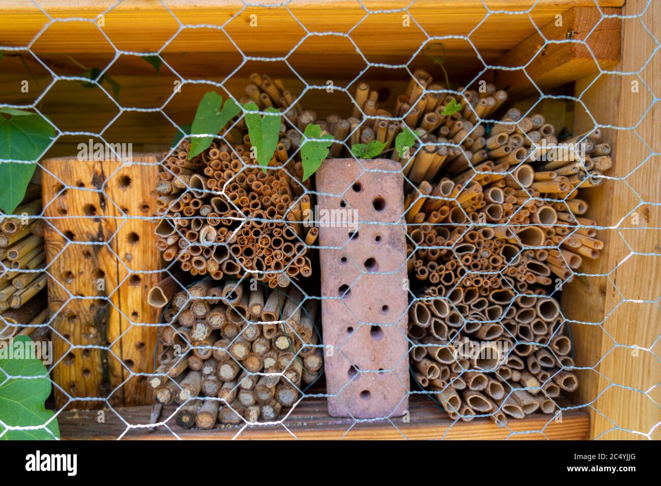 Is an artificially created nesting and wintering aid for insects hi-res ...