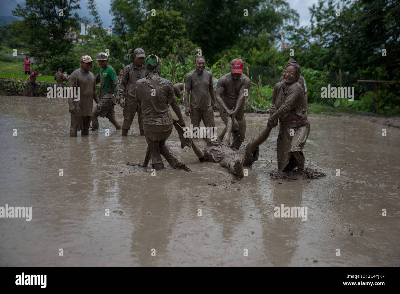The Nepalese farmers play in mud in the rice paddy field during the ...