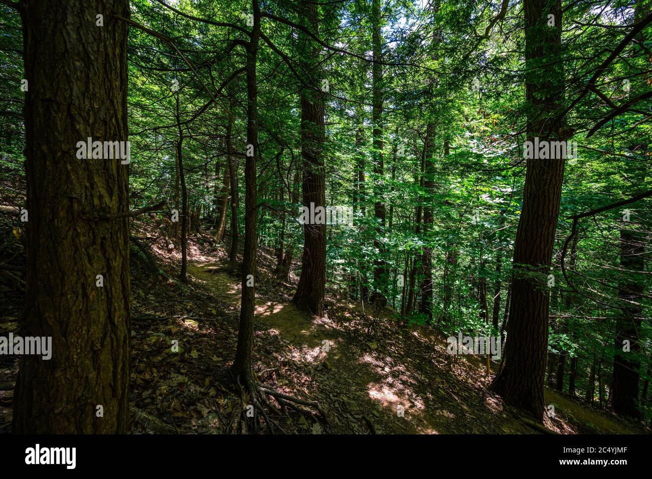 Platte clove hi-res stock photography and images - Alamy