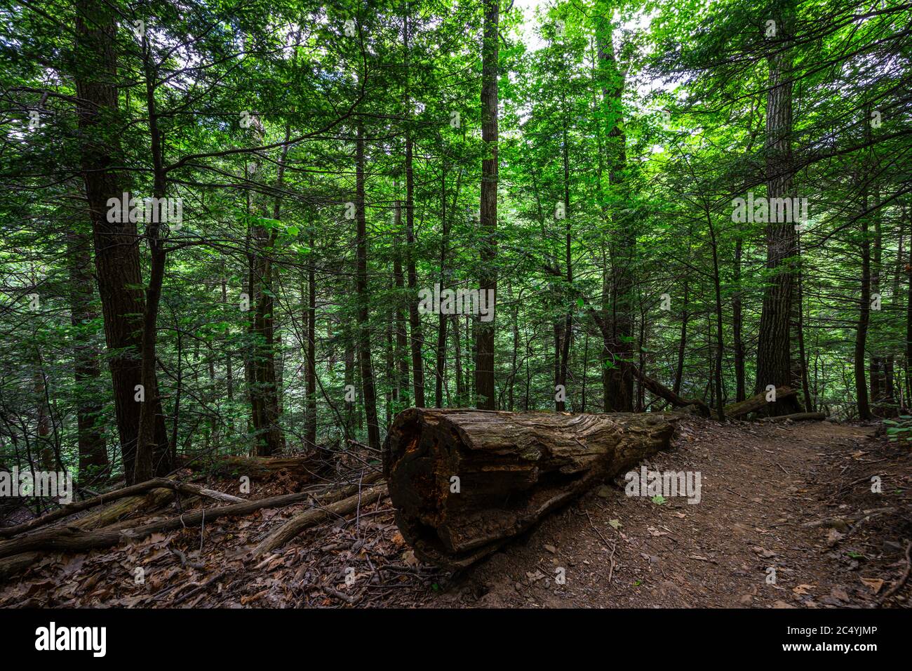 Platte clove preserve hi-res stock photography and images - Alamy
