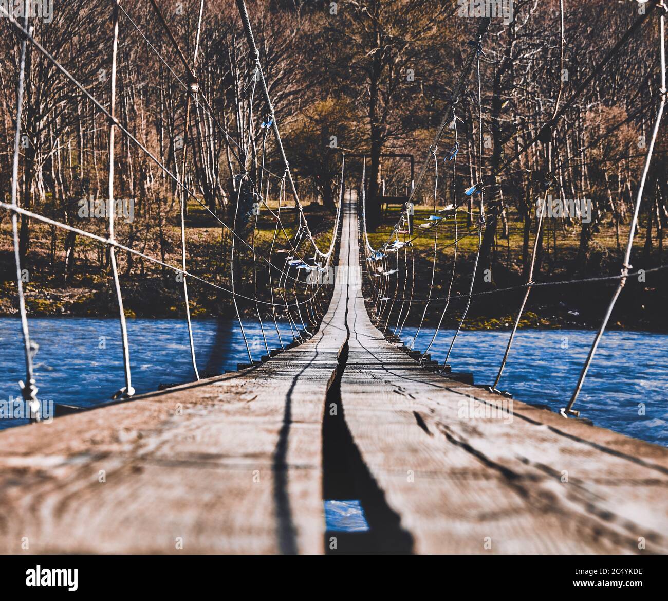Beginning of an adventure, road into the jungle. Suspension bridge ...