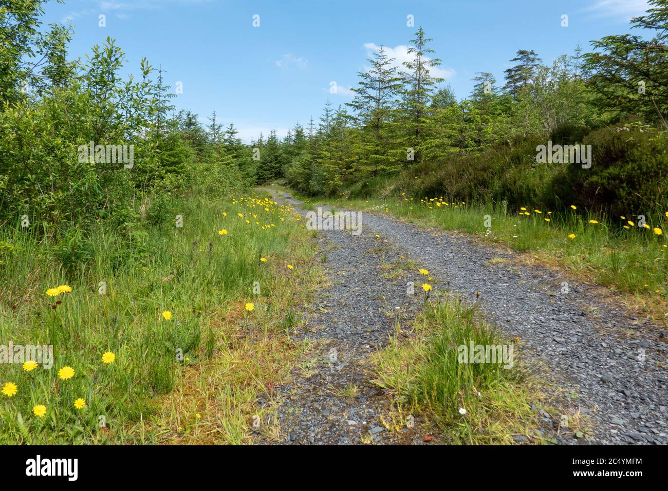 Cavan Burren Park, Geopark, Blacklion, Ireland Stock Photo - Alamy