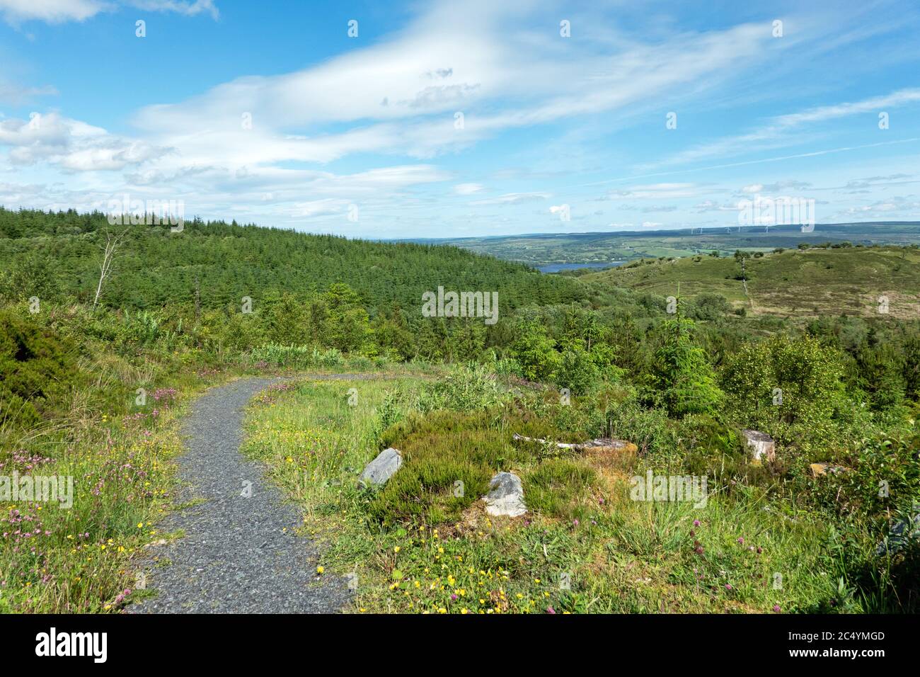 Cavan Burren Park, Geopark, Blacklion, Ireland Stock Photo - Alamy