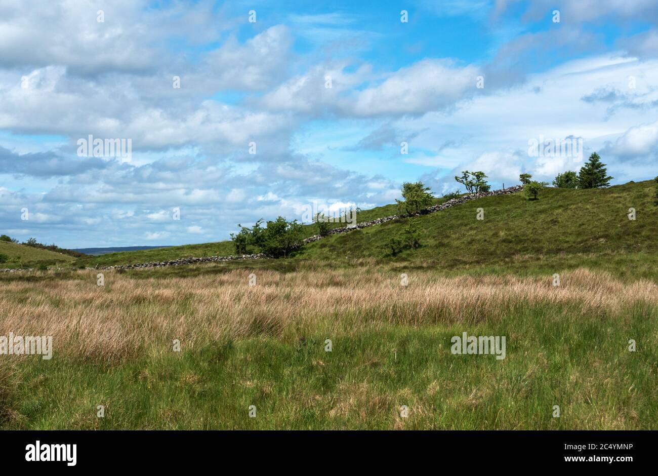 Cavan Burren Park, Geopark, Blacklion, Ireland Stock Photo - Alamy
