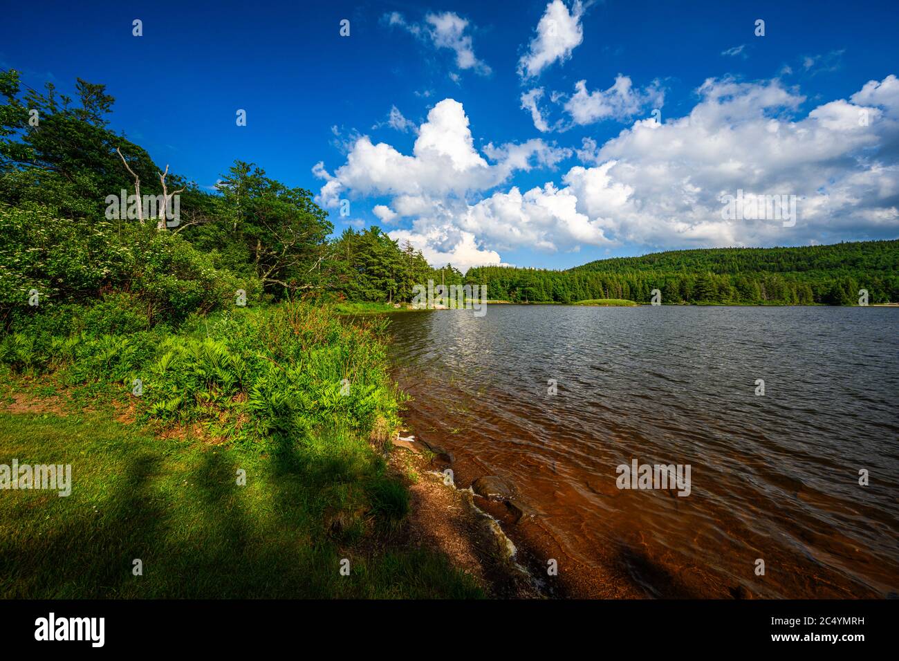 North lake catskills hi-res stock photography and images - Alamy