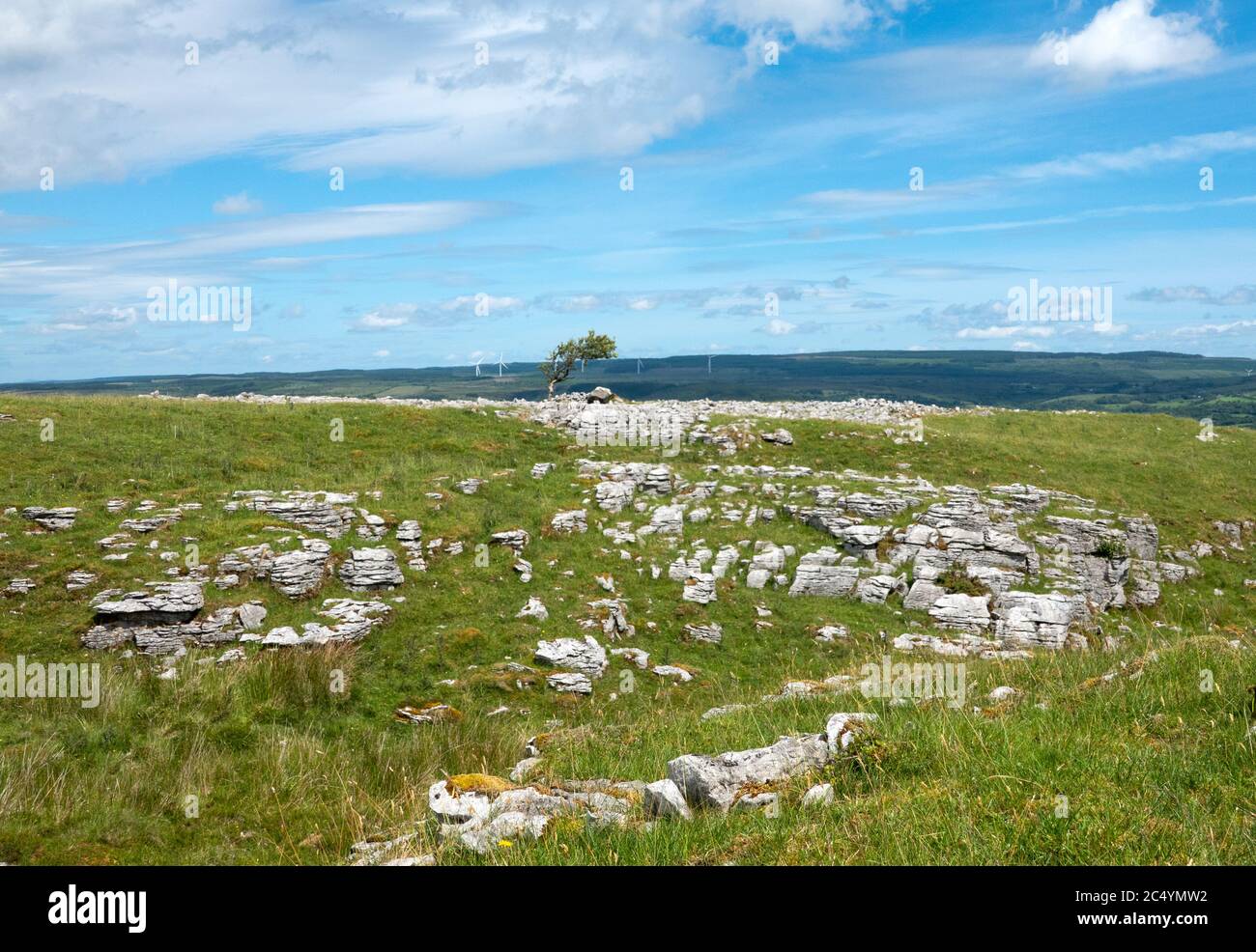 Cavan hi-res stock photography and images - Alamy
