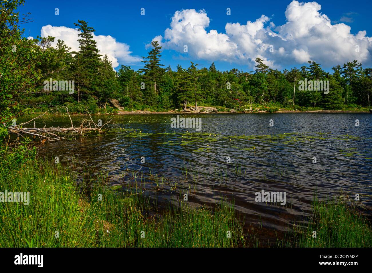 North lake summer catskills hi-res stock photography and images - Alamy