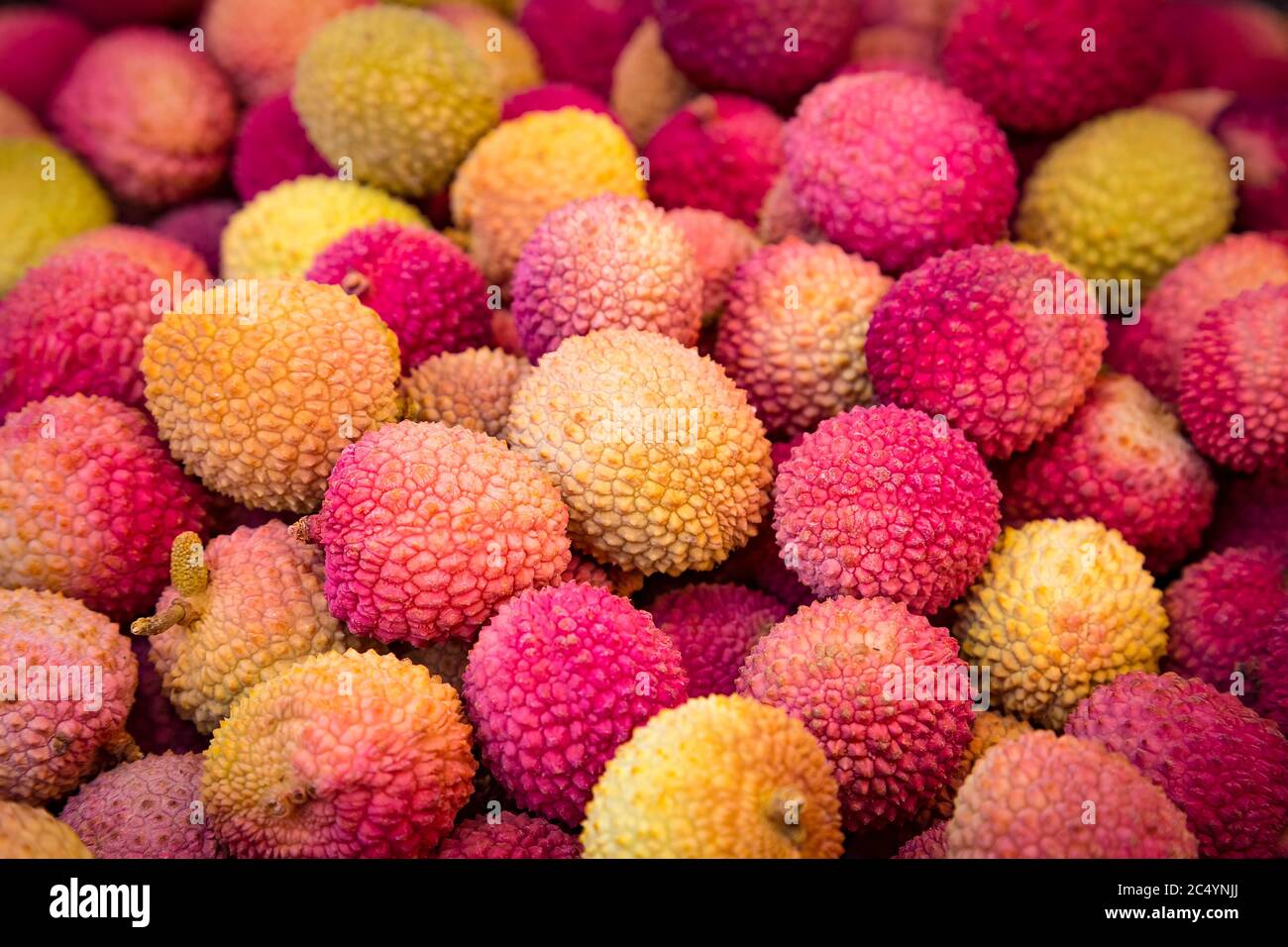 Fresh red and yellow litchi fruits on the market, also known as lichee ...