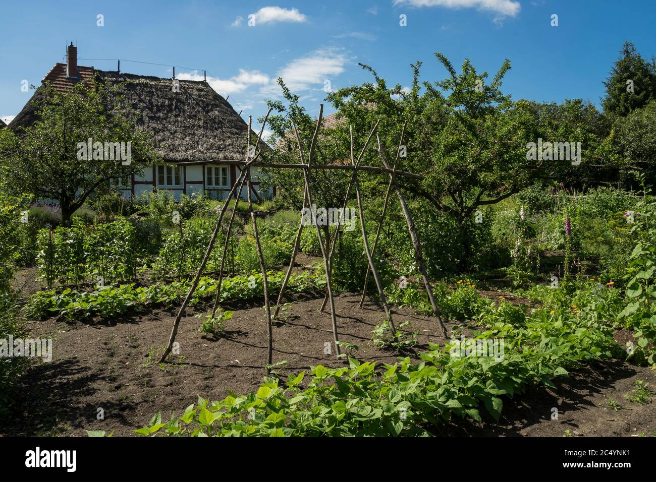 traditional farm garden Stock Photo - Alamy