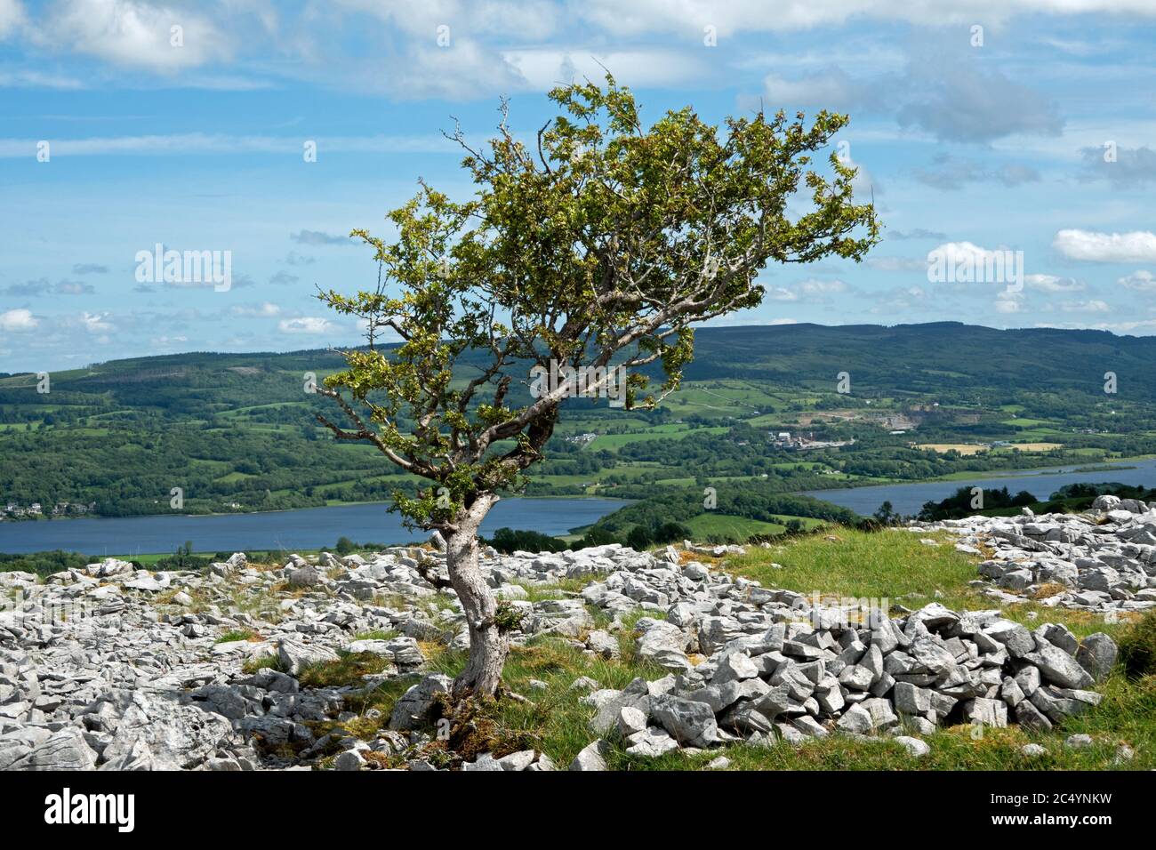 Beautiful view on Lough Machean Lower From Cavan Way Stock Photo - Alamy