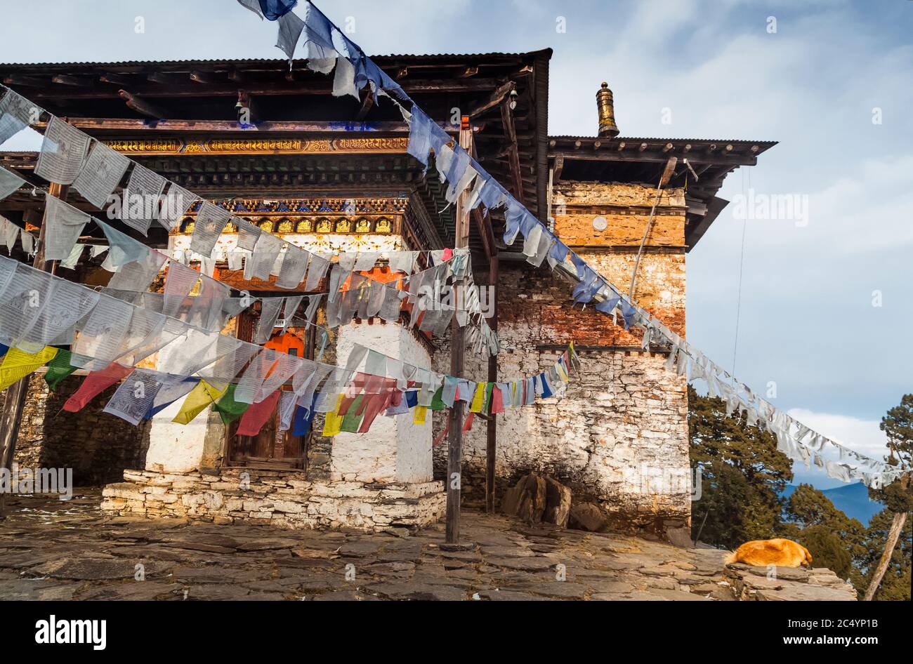 Traditional prayer Tibetan Buddhist flags Lung Ta in the Phajoding ...