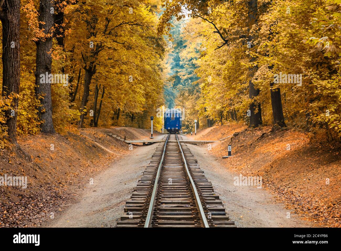 Beautiful autumn forest and old colorful blue railway train locomotive ...