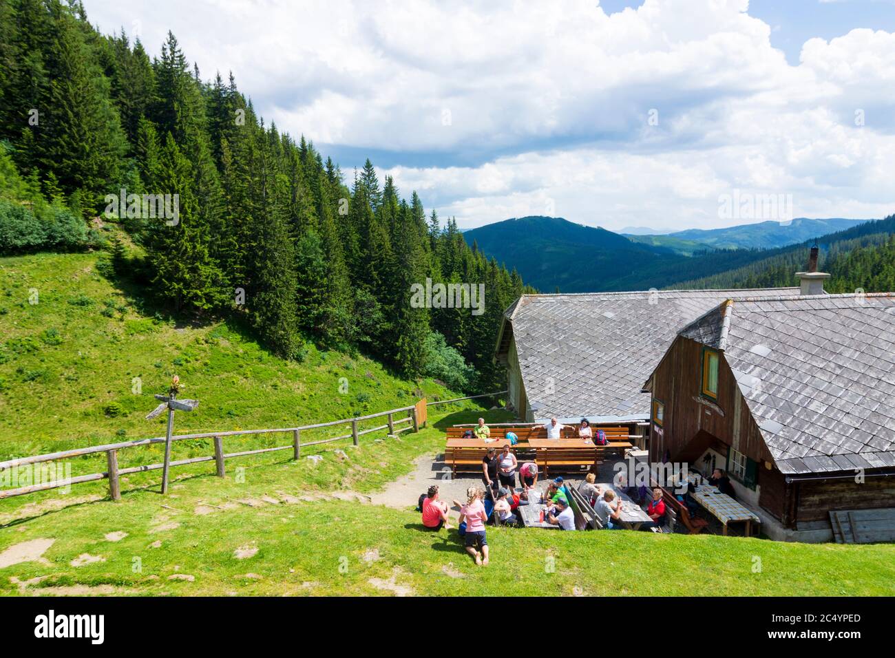 Sankt Barbara im Mürztal: mountain Hohe Veitsch (Veitschalpe), alp ...