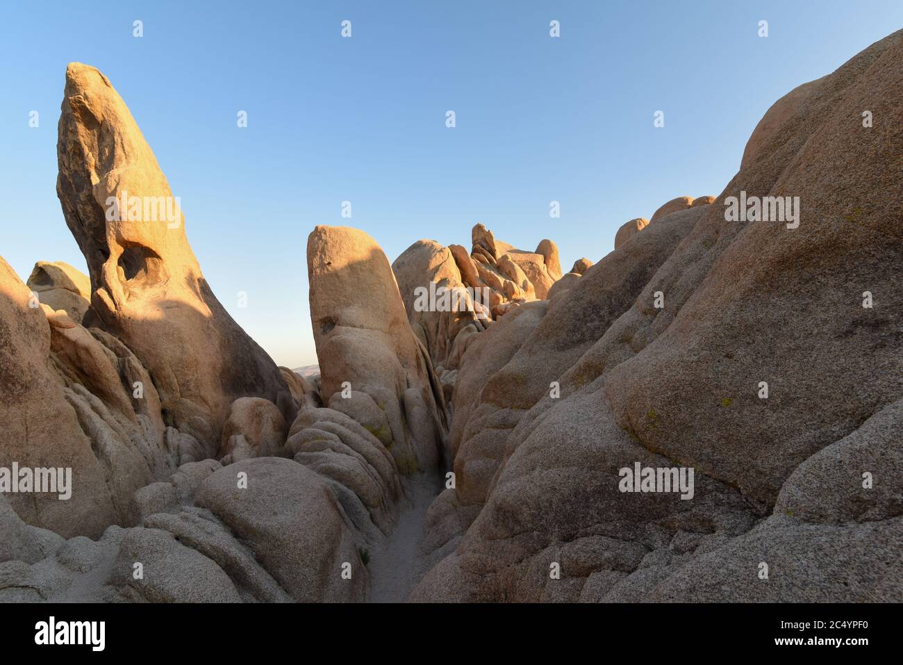 Rock formation joshua tree hi-res stock photography and images - Alamy