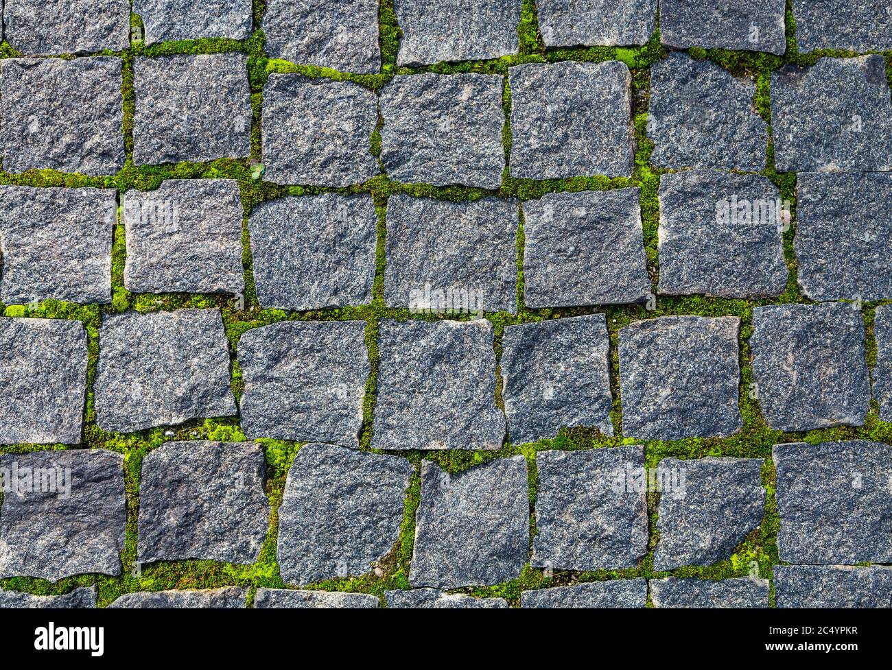 Texture of pedestrian cobblestone pavement with moss in old european ...