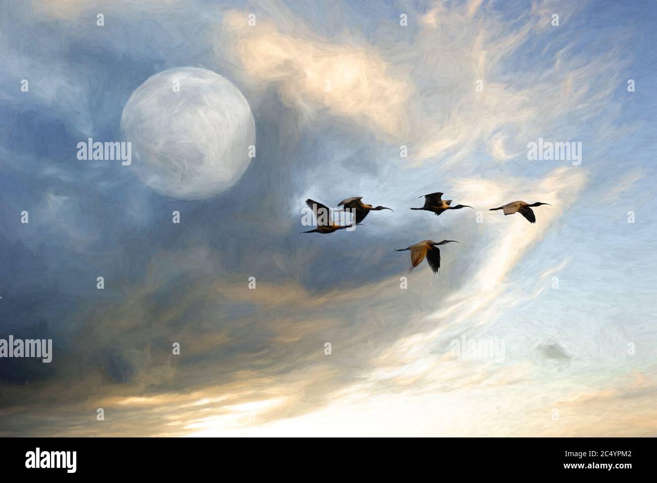 Rising bird hi-res stock photography and images - Alamy