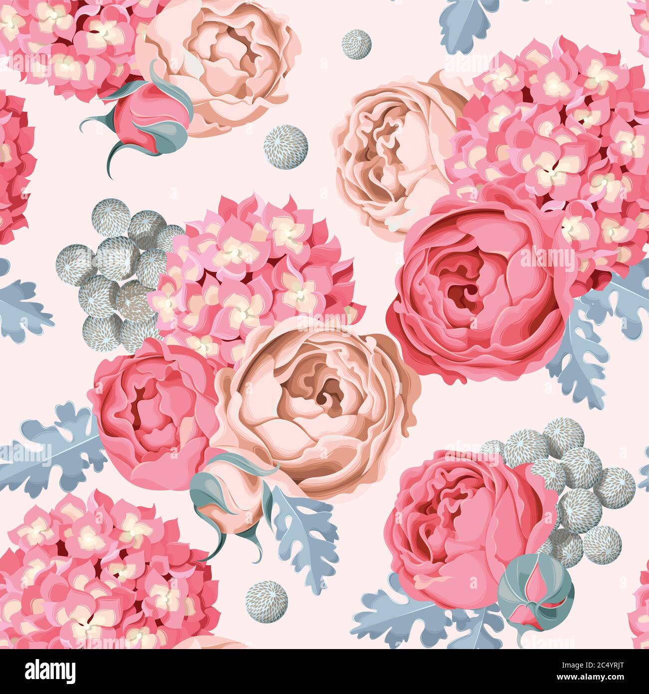 Hydrangea blossom flower Stock Vector Images - Alamy