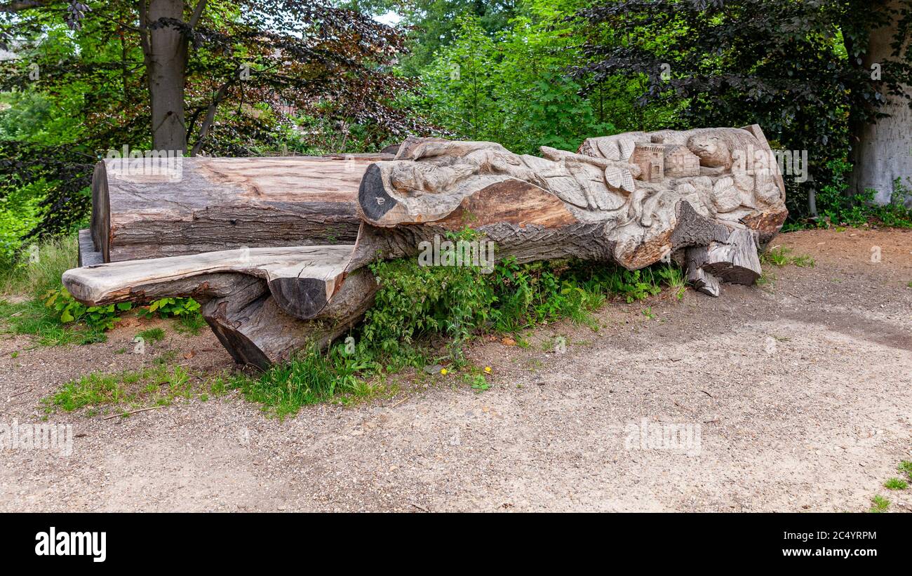 Stein, South Limburg / Netherlands. June 21, 2020. Huge tree trunk ...