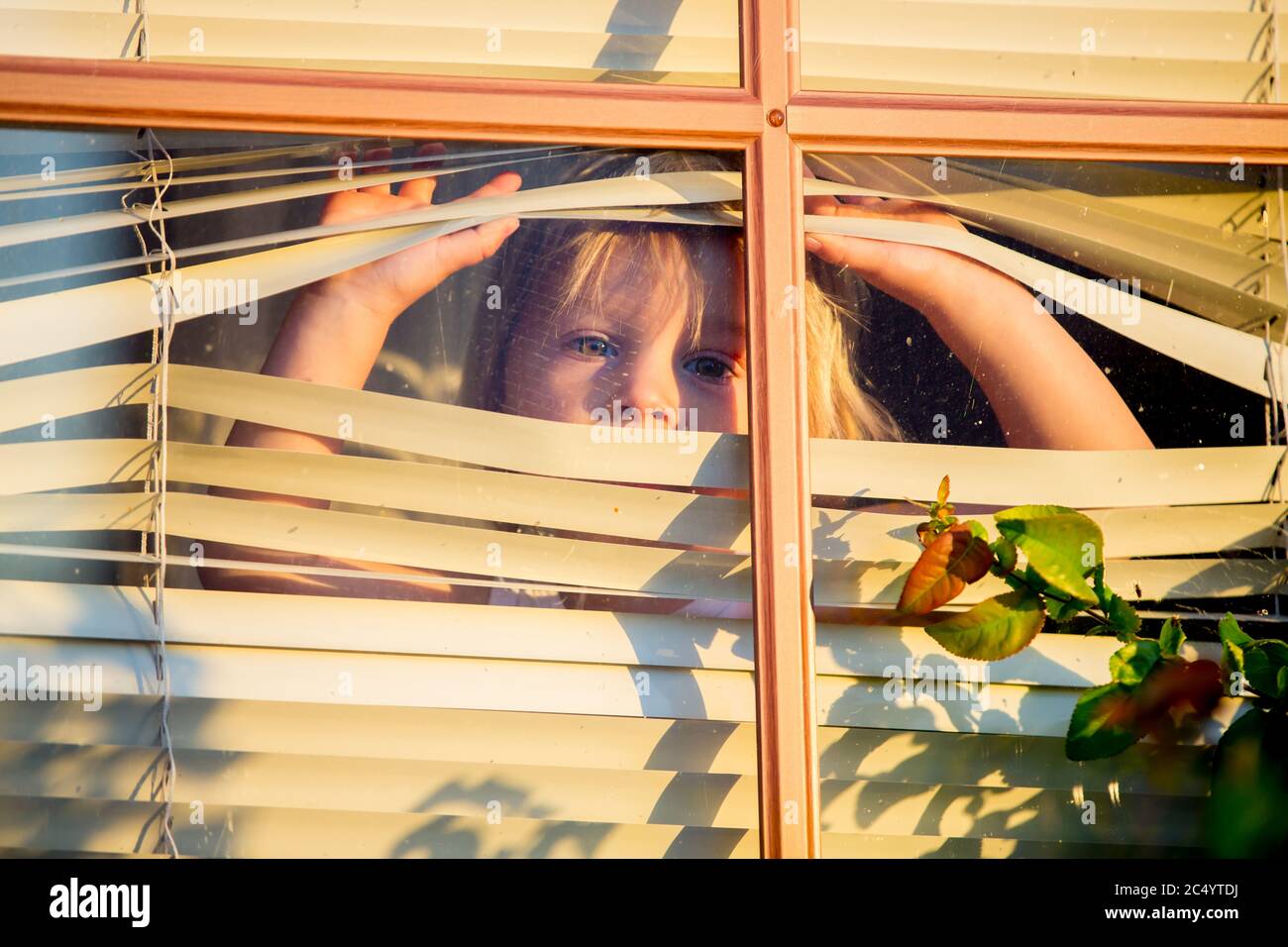 Child, toddler boy, looking through window outside Stock Photo - Alamy