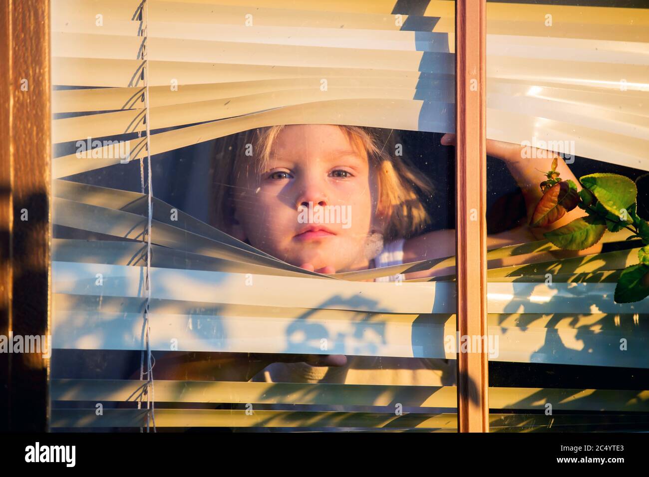 Child, toddler boy, looking through window outside Stock Photo - Alamy