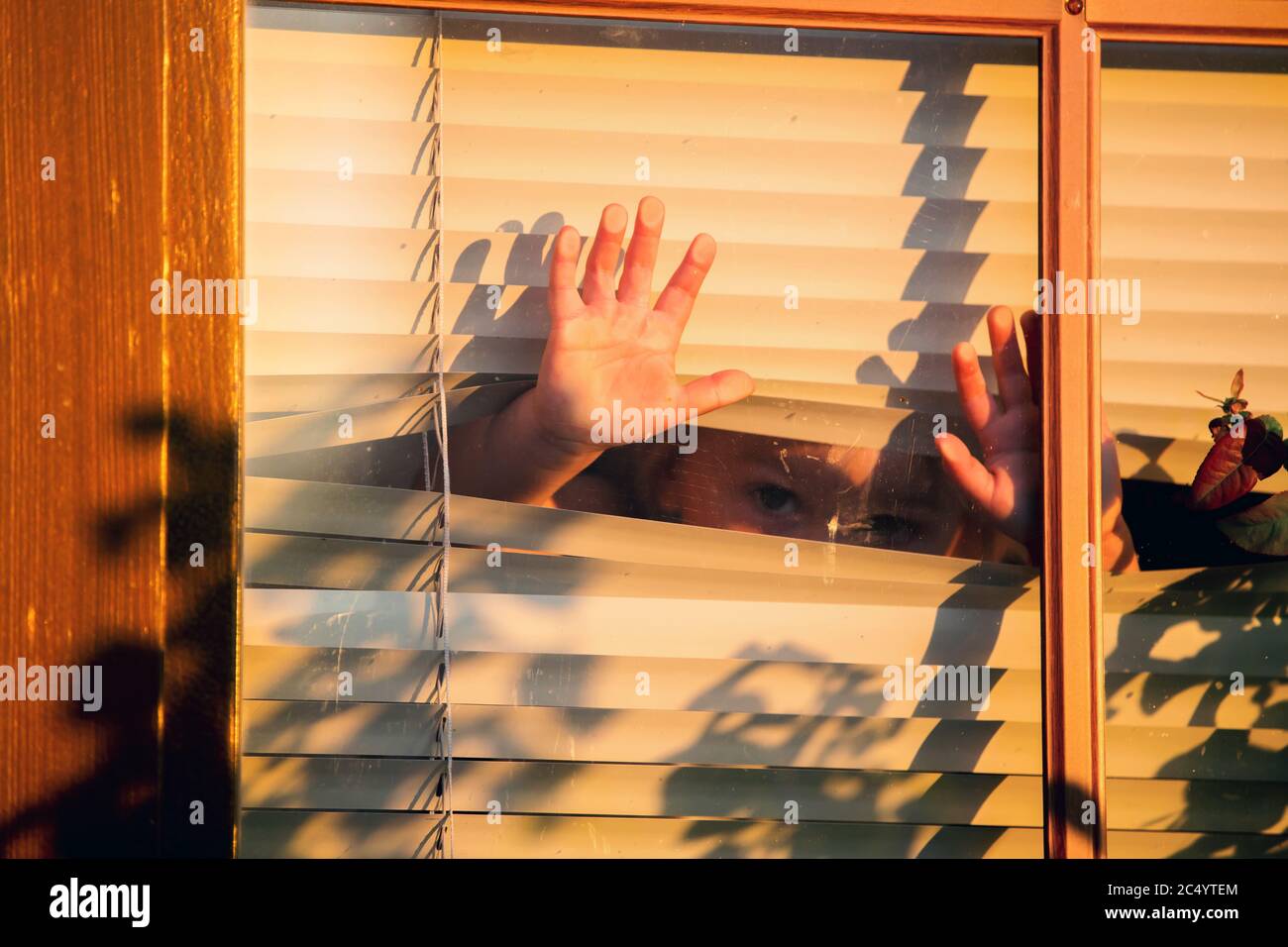 Child, toddler boy, looking through window outside Stock Photo - Alamy