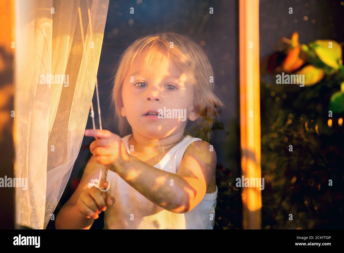 Child, toddler boy, looking through window outside Stock Photo - Alamy