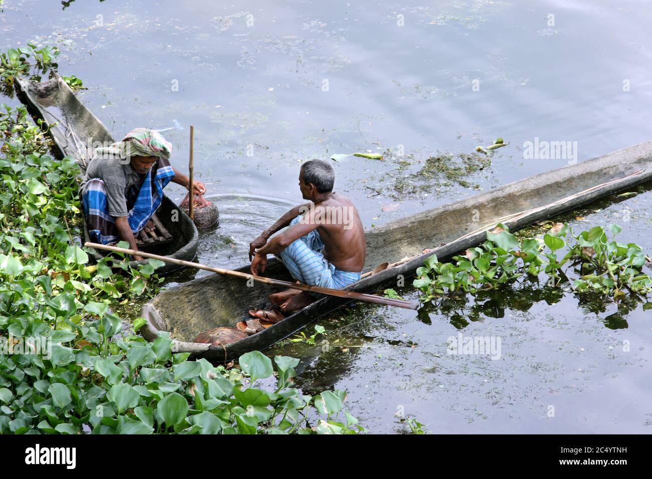 birds, female, gems, server Stock Photo - Alamy