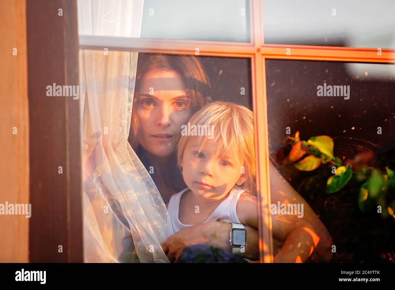 Child, toddler boy, looking through window outside Stock Photo - Alamy