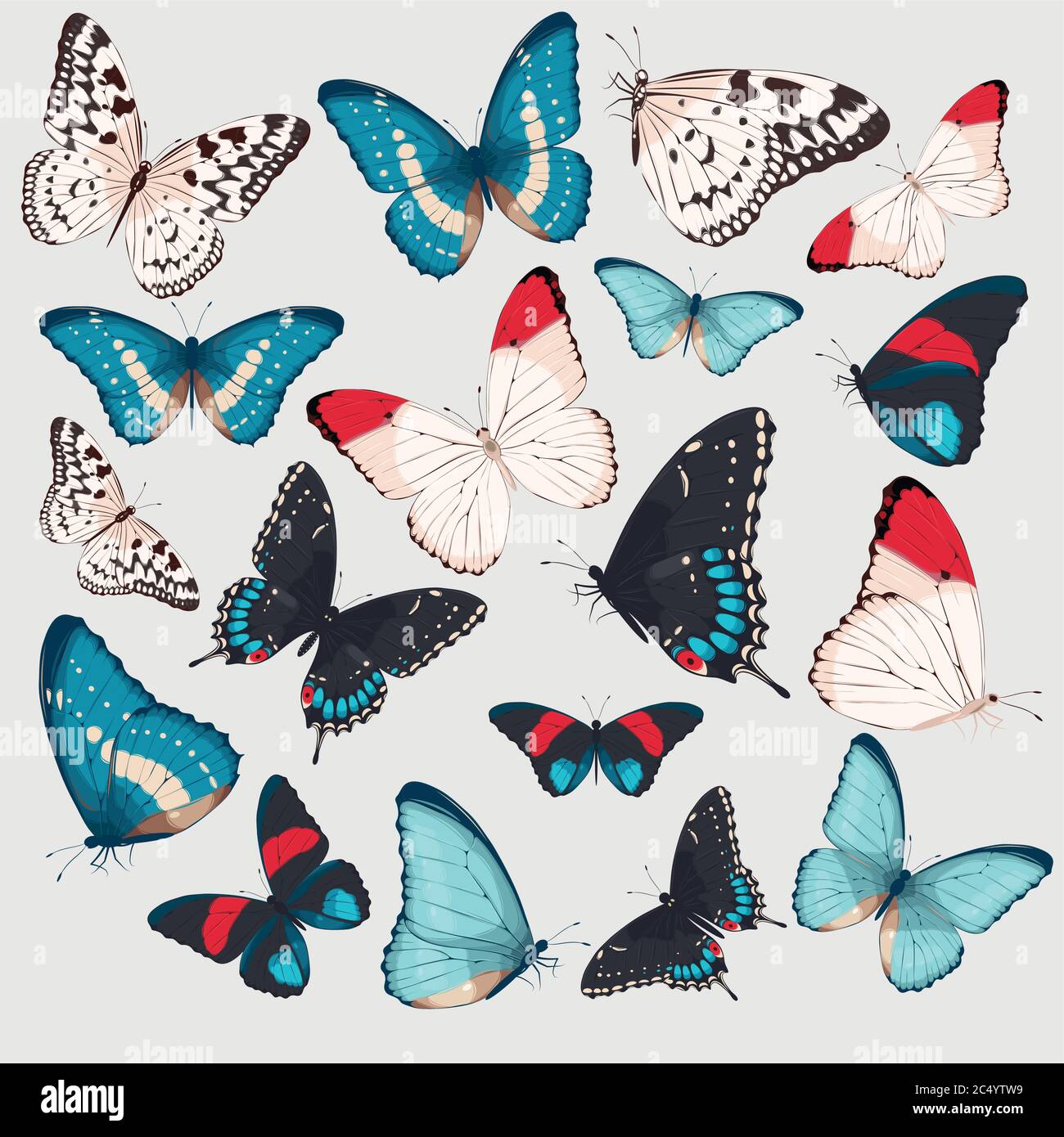 Collection of butterflies Stock Vector Image & Art - Alamy