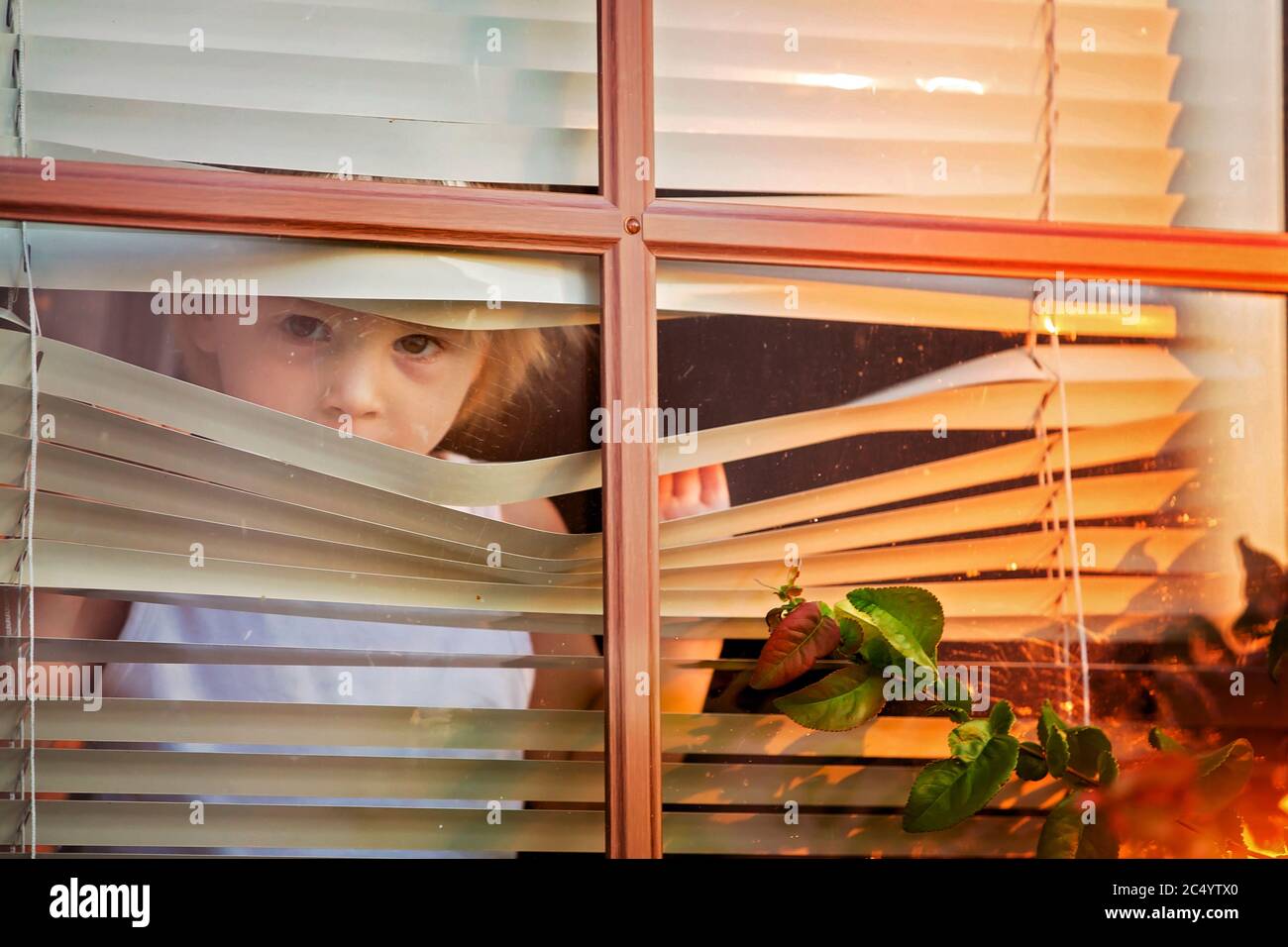 Child, toddler boy, looking through window outside Stock Photo - Alamy