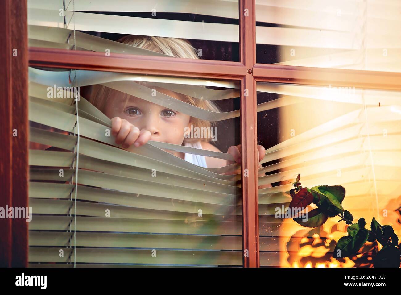 Child, toddler boy, looking through window outside Stock Photo - Alamy