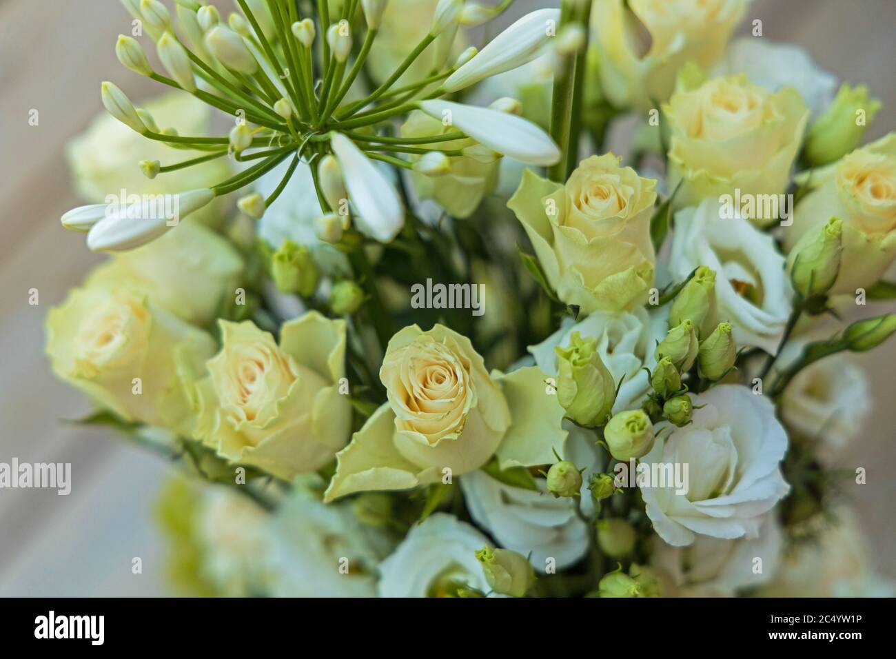beautiful flower arrangement with roses Stock Photo - Alamy