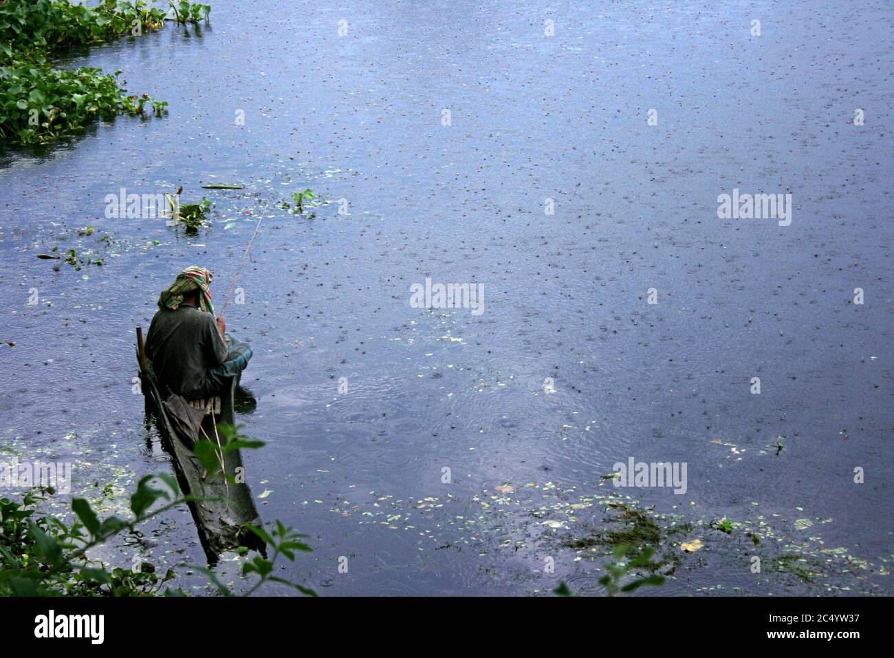 birds, female, gems, server Stock Photo - Alamy