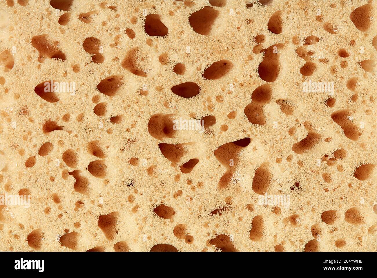 Sponge, porous material Stock Photo - Alamy