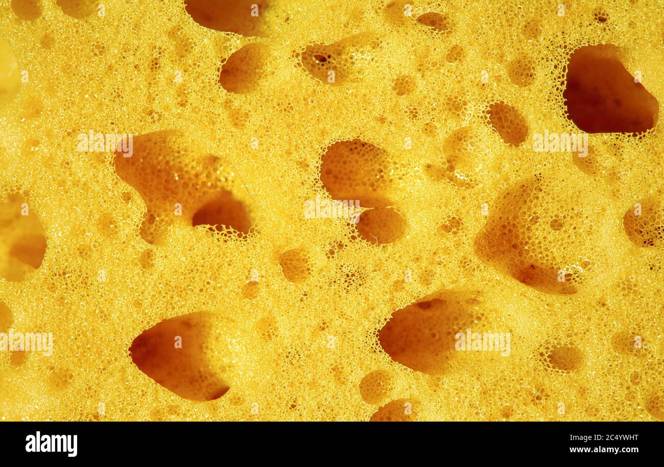 Sponge, porous material Stock Photo - Alamy
