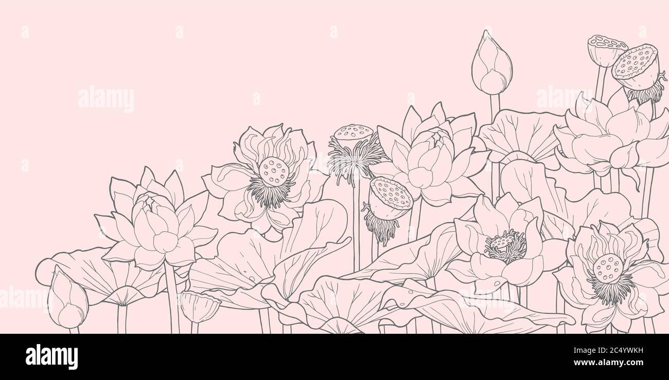 Asian aquatic garden Stock Vector Images - Alamy