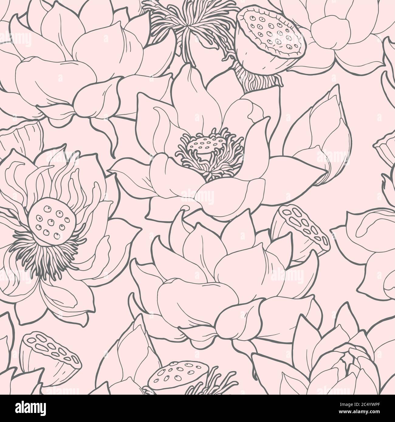 Asian lotus pattern Stock Vector Images - Alamy