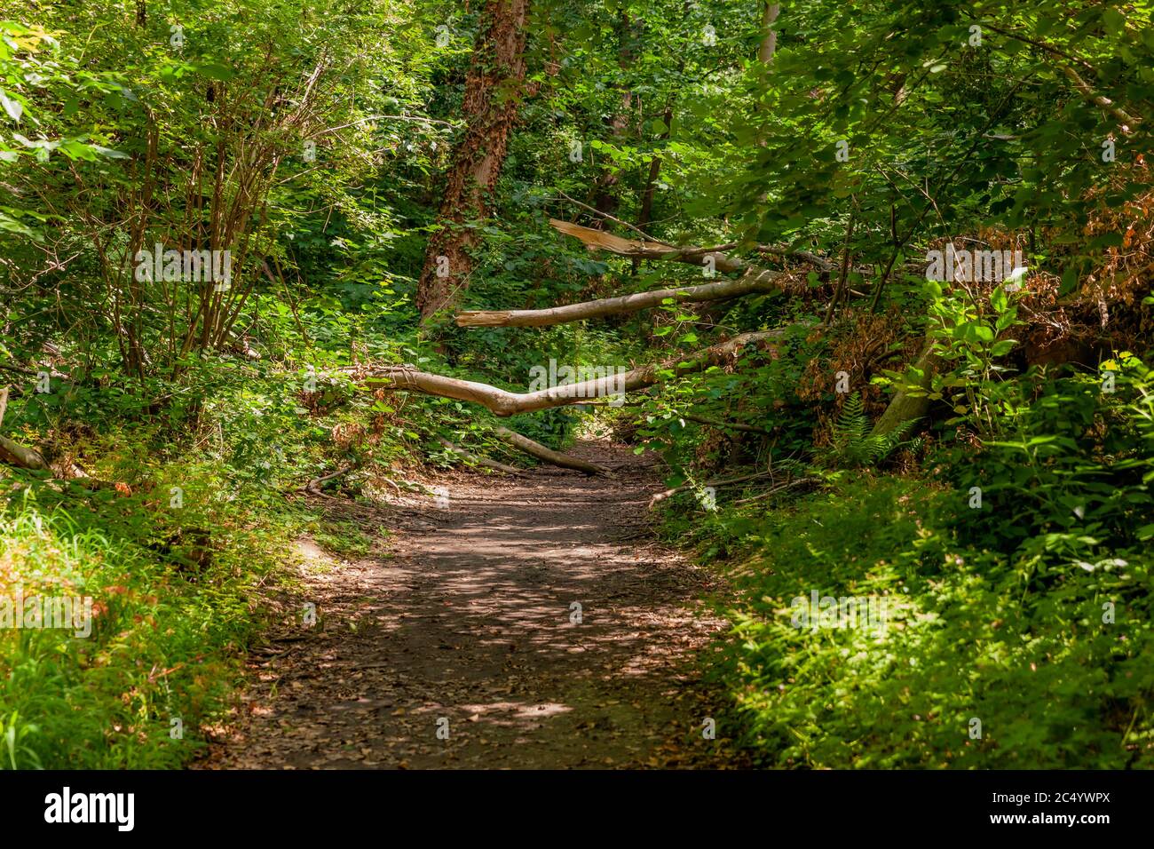 Obstructing view hi-res stock photography and images - Alamy