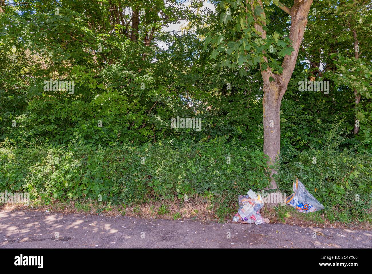 Recycling stein hi-res stock photography and images - Alamy