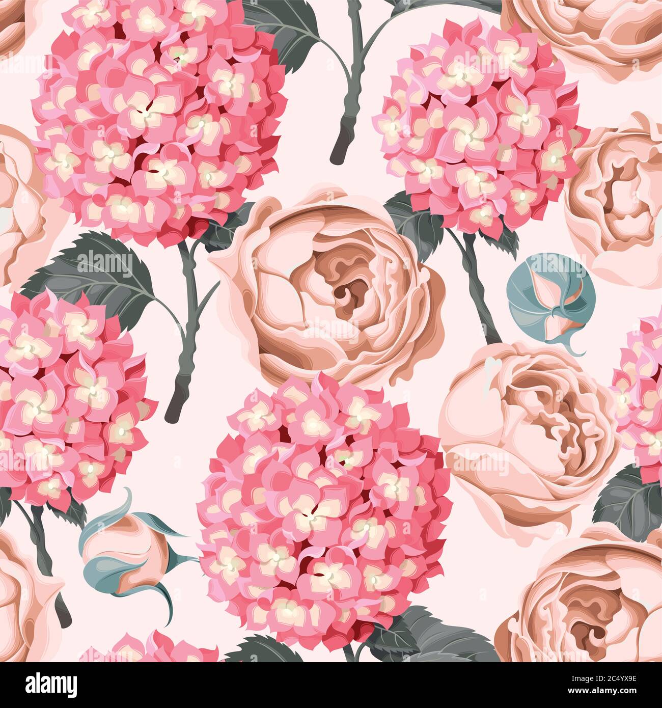 Hydrangea blossom flower Stock Vector Images - Alamy